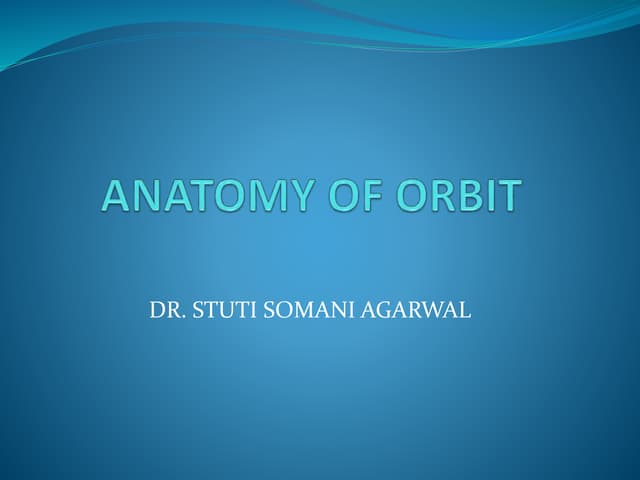 Orbital anatomy | PPTX | Ear, Nose and Throat Conditions | Diseases and ...
