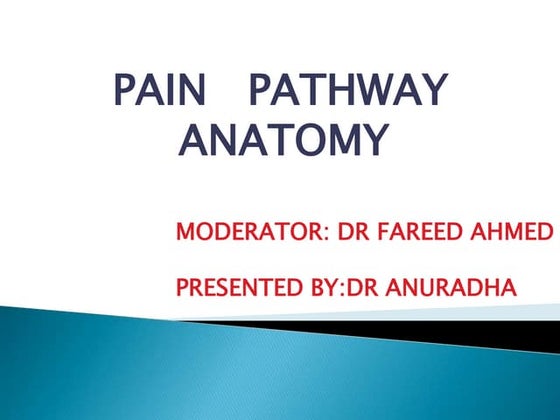 Classification of Pain | PPT