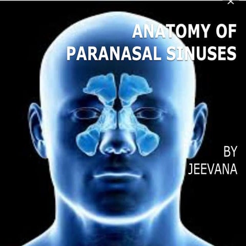 Anatomy of paranasal sinuses | PPT