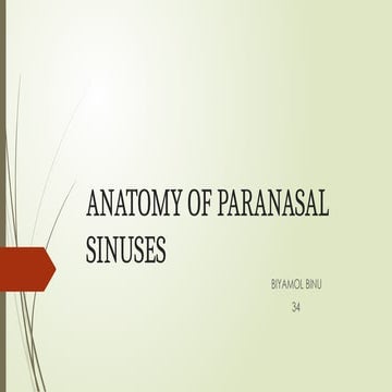 Anatomy Of Paranasal Sinuses | PPT