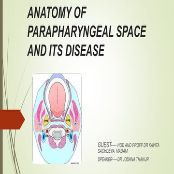 Parapharyngeal space