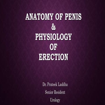 Histology Of Rectum And Anal Canal.pptx
