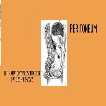 EXPLANATION OF ANATOMY OF PERITONEAL CAVITY.pptx