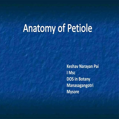 Anatomy of petiole | PPTX