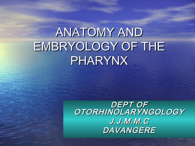 Anatomy of pharynx | PPTX