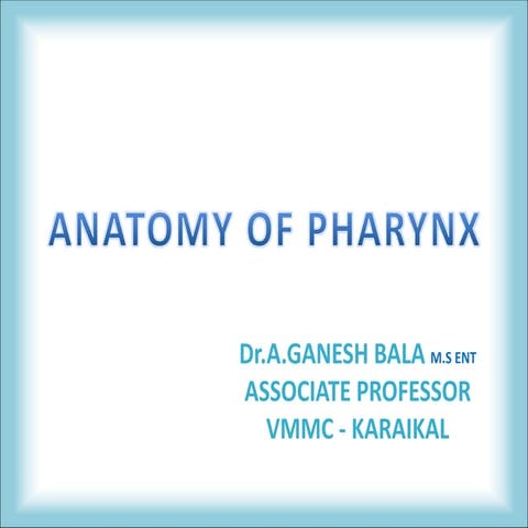 Anatomy of pharynx | PPTX