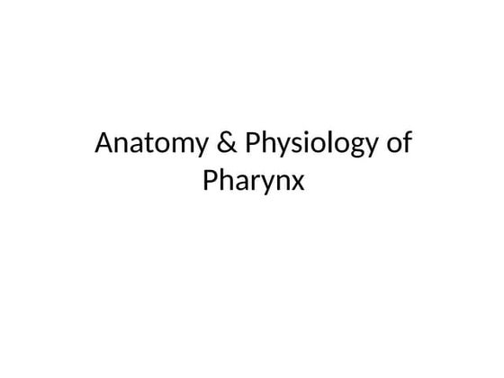 anatomy of pharynx of the head and neck of the parts | PPT
