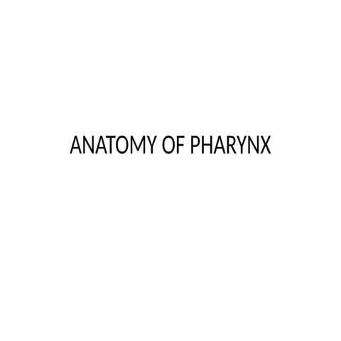 ANATOMY OF PHARYNX pptx presentation ppt | PPT