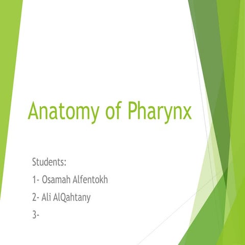 Anatomy of pharynx | PPTX