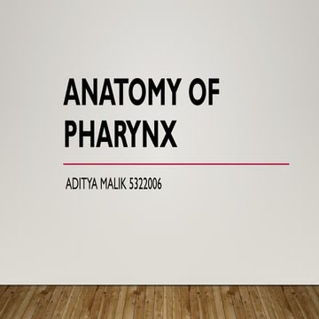 Anatomy of Pharynx discussed different.pptx
