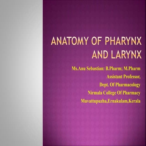 Anatomy of pharynx and larynx | PPT