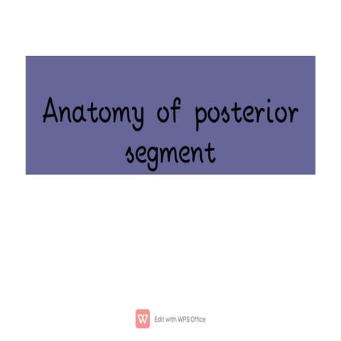 Anatomy of posterior segments. WPS Office.pdf