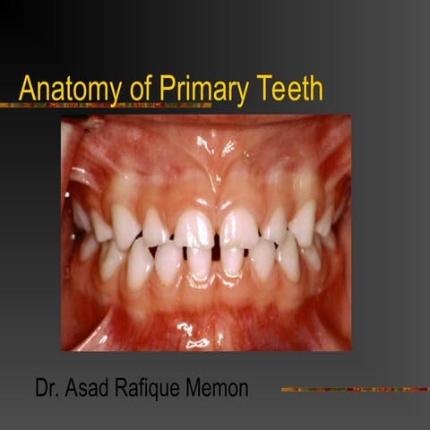 Morphology of primary teeth | PPTX
