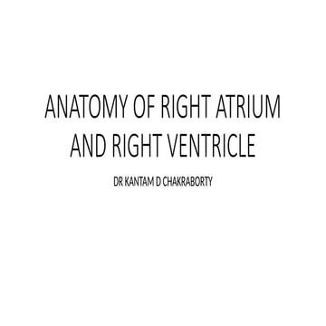 Anatomy of RAtria and RV - Dr.Kantam.pptx