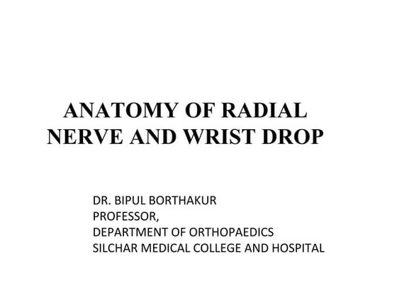 Evertor and invertor of foot | PPT