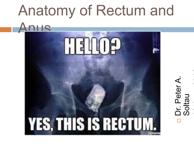 Digital Rectal Examination for Surgical Trainees | PPT