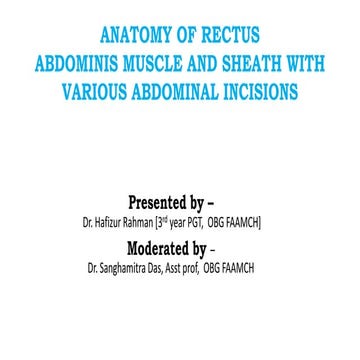 ANATOMY OF RECTUS in OBST AND GYNAE.pptx