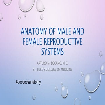 Anatomy of reproductive system | PPTX