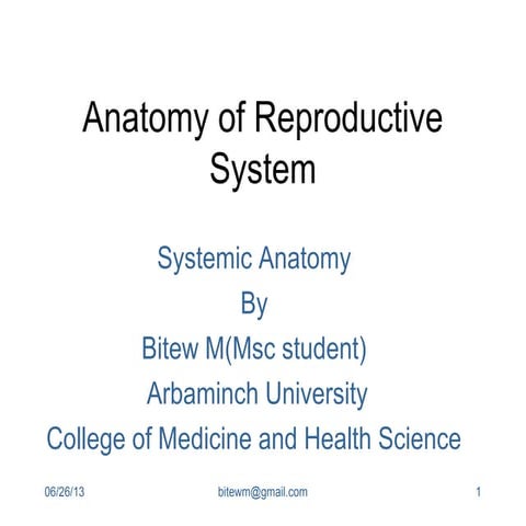 Anatomy of Reproductive system by Bitew | PPT