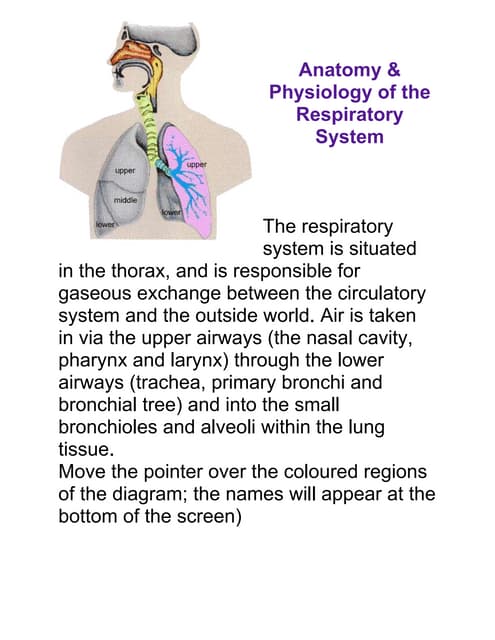 Examination of the respiratory system | PPT