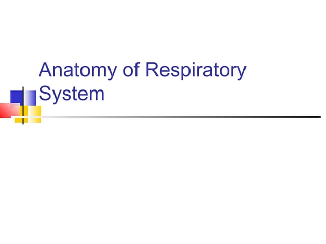 Respiratory System - Unit-2 of Anatomy & Physiology for Nursing Students | PDF
