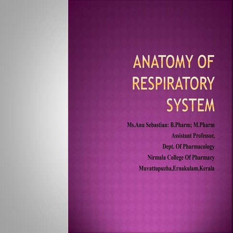 Anatomy of respiratory system | PPT
