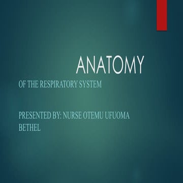 anatomy and physiology of respiratory system.pptx