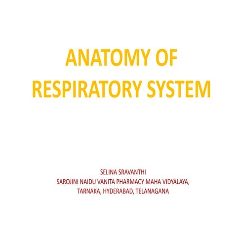 Anatomy of respiratory system | PPTX