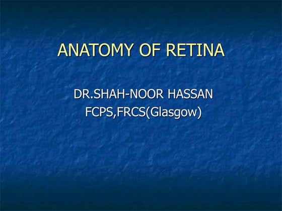 diagram of eye | PDF