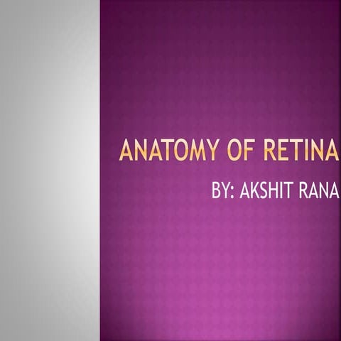 Anatomy of retina.pptx