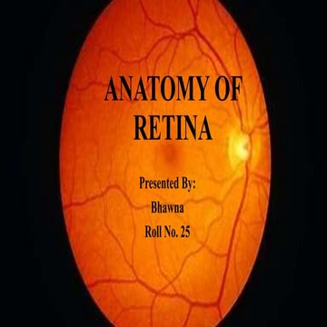ANATOMY OF RETINA.pptx
