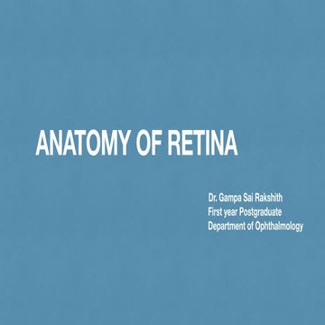 ANATOMY OF RETINA and not physiology of eyepdf | PDF