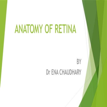 ANATOMY OF RETINA AND CLINICAL APPLICATIONS | PPTX