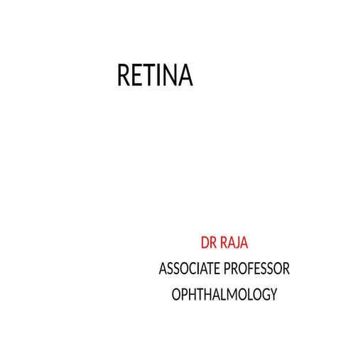 Anatomy of retina.pptx powerpoint presentation | PPTX