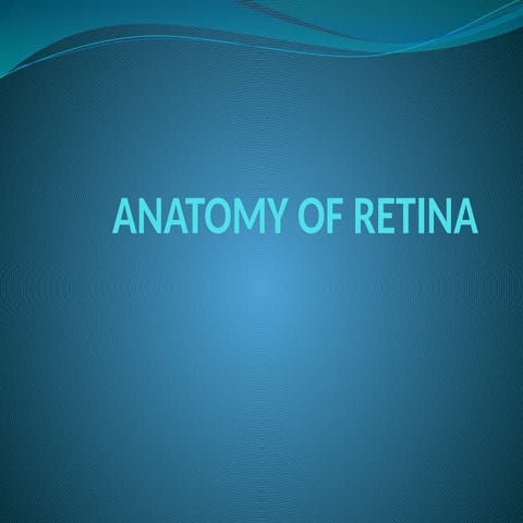 ANATOMY OF CORNEA.pptx anatomy of cornea | PPTX