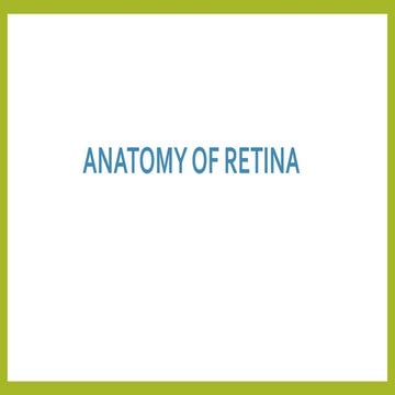 Anatomy of Retina | PPT