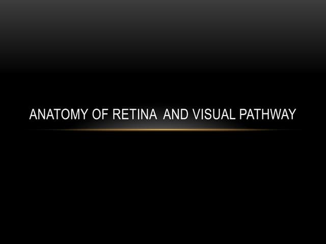 Retina | PPTX