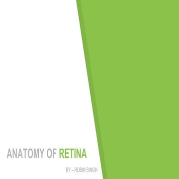 Anatomy of Retina by Robin Singh ( BMCO ) | PPTX