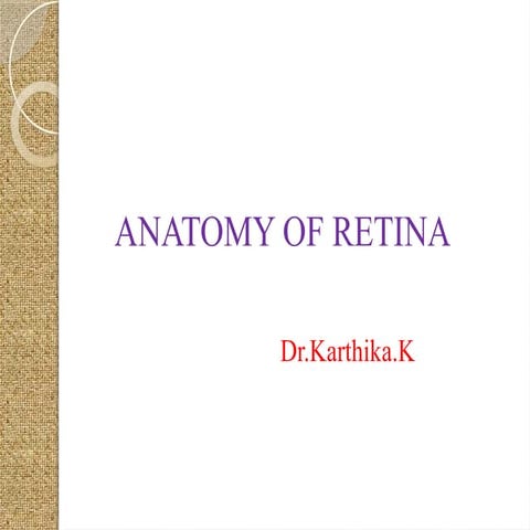 Anatomy of Retina | PPT