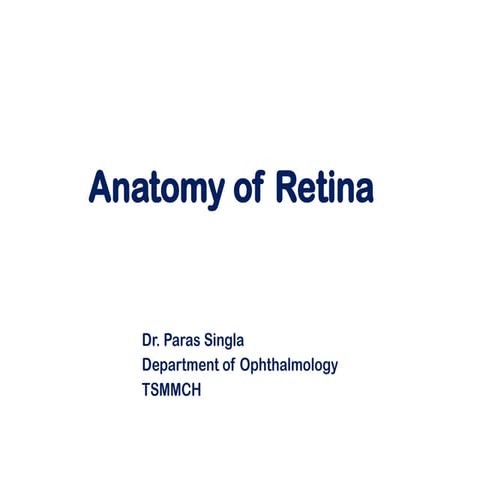 Anatomy of Retina | PPT