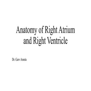 Anatomy of Right Atrium and Right Ventricle- Dr. Garv.pptx