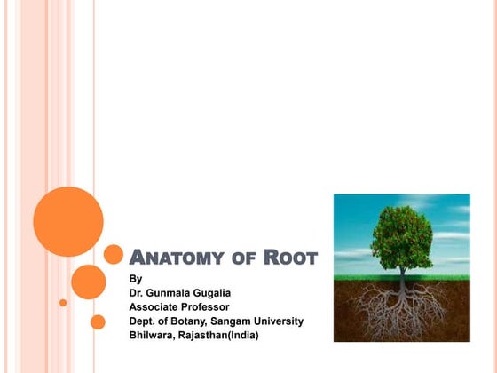 Anatomy of Dicot and monocot Root.pptx