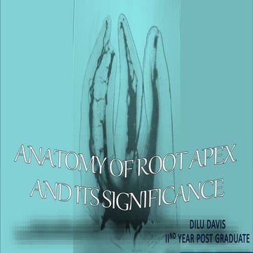 Anatomy of root apex and its significance new | PPTX