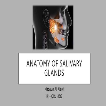 Salivary glands