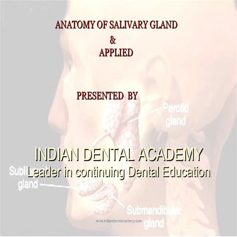 Anatomy of salivary gland/ oral surgery courses | PPT