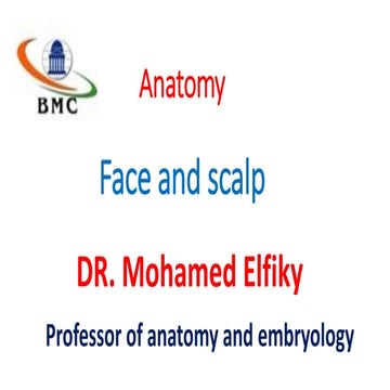 Anatomy of scalp and face | PDF