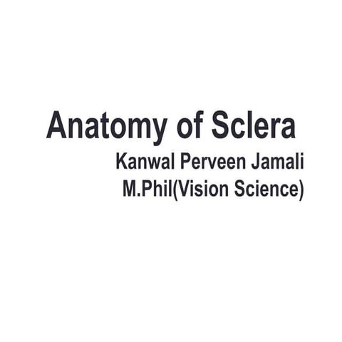 Anatomy of sclera | PPTX