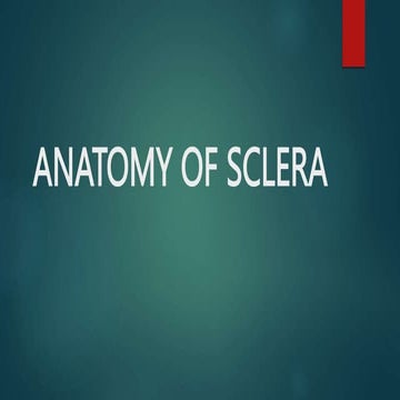 anatomy of sclera ophthalmology presentation | PPT