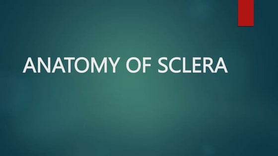 Sclera | PPTX | Eye and Vision Conditions | Diseases and Conditions