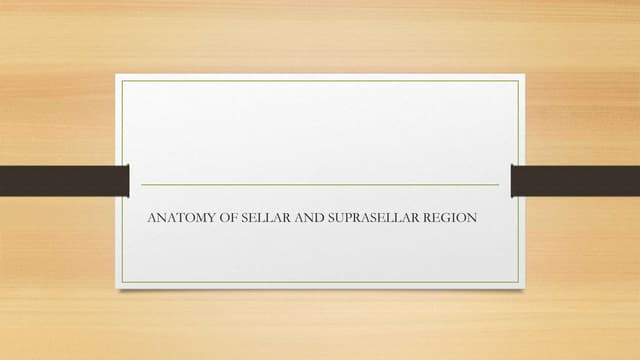 sellar and suprasellar mass pituitary gland .pptx | Endocrine and ...
